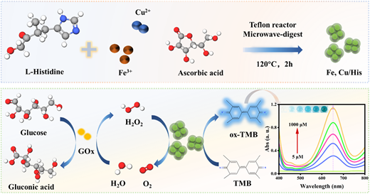 Fe,Cu/His bimetallic nanozyme with enhanced peroxidase-like activity ...