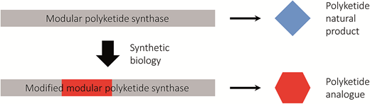 Genetic engineering of modular PKSs: from combinatorial biosynthesis to ...