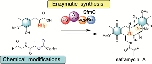 Total synthesis of alkaloids using both chemical and biochemical ...