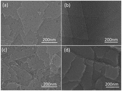 Au nanocrystal superlattices: nanocrystallinity, vicinal surfaces, and ...