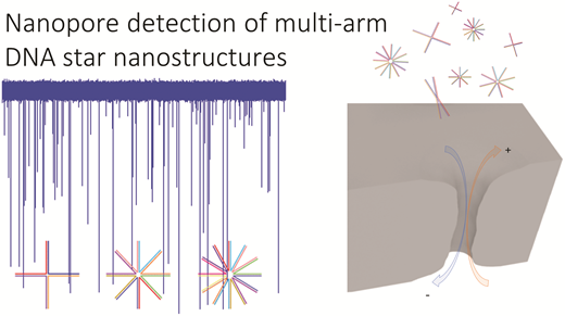 Fast capture and multiplexed detection of short multi-arm DNA stars in ...