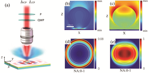 Mapping the near-field spin angular momenta in the structured surface ...
