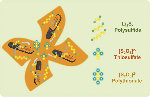 Ti3C2Tx nanosheet wrapped core–shell MnO2 nanorods @ hollow porous ...