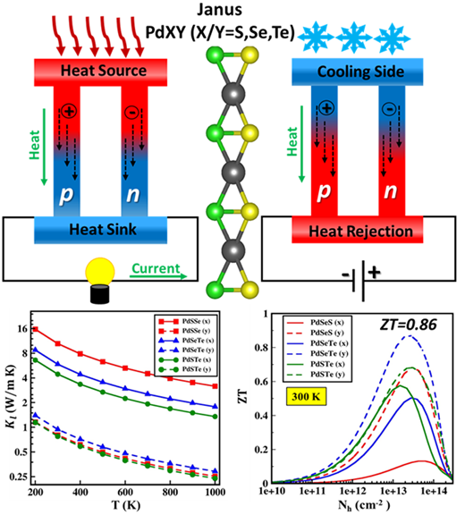 Janus β-PdXY (X/Y = S, Se, Te) materials with high anisotropic ...