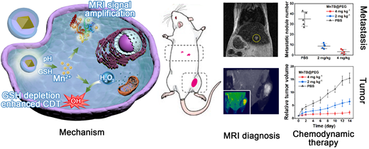 A pH/GSH dual responsive nanoparticle with relaxivity amplification for ...