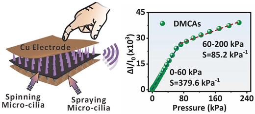 Cactus-inspired dual-sided micro-cilia arrays with swelling-induced CNT ...
