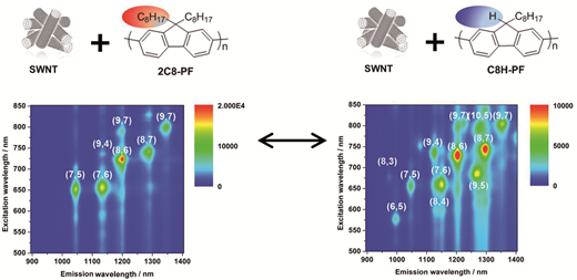 Effects of the chemical structure of polyfluorene on selective ...