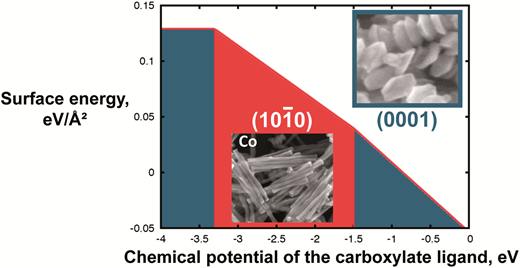 Control of the anisotropic shape of cobalt nanorods in the liquid phase ...