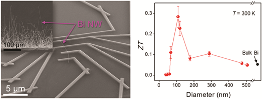 Diameter-dependent thermoelectric figure of merit in single-crystalline ...