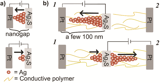 Ag2S atomic switch-based ‘tug of war’ for decision making† | Nanoscale ...