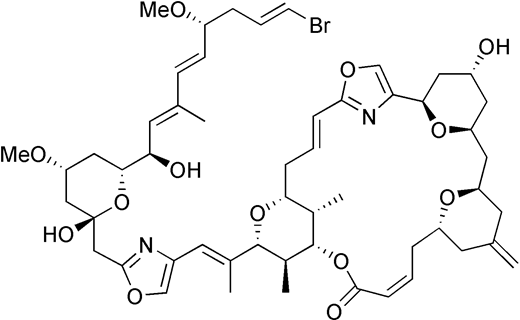 Total synthesis of (+)-phorboxazole A, a potent cytostatic agent from ...