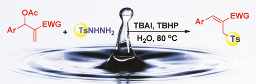 Tetrabutylammonium iodide catalyzed allylic sulfonylation of Baylis ...
