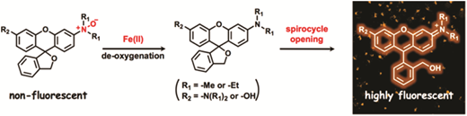 A new class of high-contrast Fe(ii) selective fluorescent probes based ...