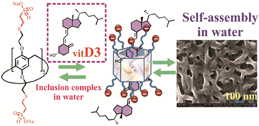 Towards new nanoporous biomaterials: self-assembly of sulfopillar[5 ...