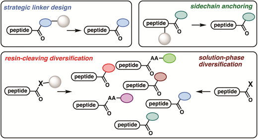Recent advances in the synthesis of C-terminally modified peptides ...
