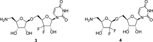Synthesis of gem-difluorinated nucleoside analogues of the ...