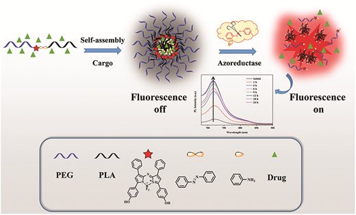 Real-time near-infrared fluorescence reporting the azoreductase ...