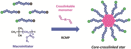 Synthesis of core-crosslinked star polymers via organocatalyzed living ...