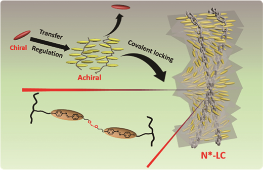 Induction, fixation and recovery of self-organized helical ...