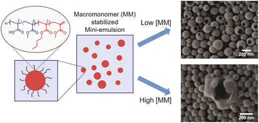 ω-Unsaturated methacrylate macromonomers as reactive polymeric ...