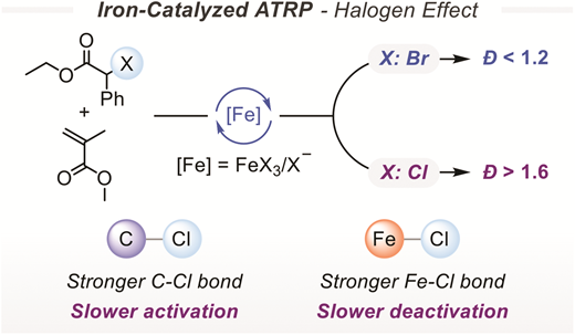 Effect of halogen and solvent on iron-catalyzed atom transfer radical ...