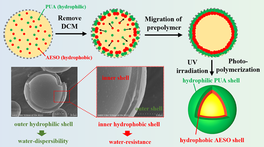 One-step preparation of hydrophilic–hydrophobic asymmetric bilayer ...