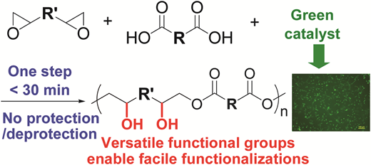 A biocompatible, metal-free catalyst and its application in microwave ...