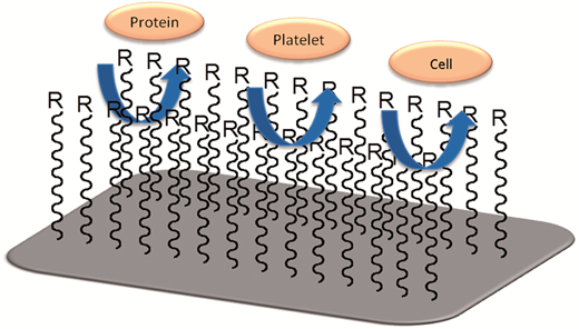 Surface-initiated RAFT polymerization of sulfobetaine from cellulose ...