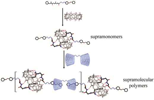 Supramolecular polymerization of supramonomers: a way for fabricating ...