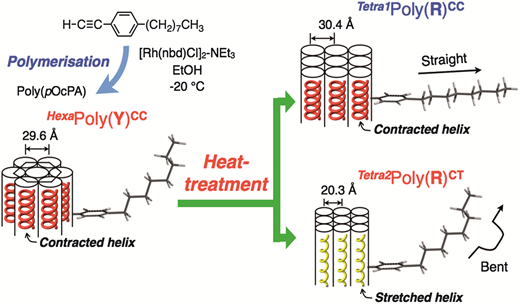 Synthesis and solid state helix to helix rearrangement of poly ...