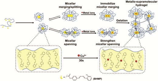 Metallo-supramolecular hydrogels based on amphiphilic polymers bearing ...
