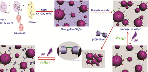Poly(ionic liquid)-based nanogels and their reversible photo-mediated ...
