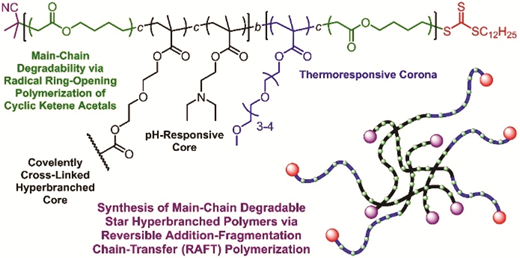 Main-chain degradable star polymers comprised of pH-responsive ...