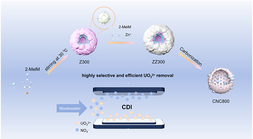 Ion-selective capacitive deionization enabled by codoped core–shell ...