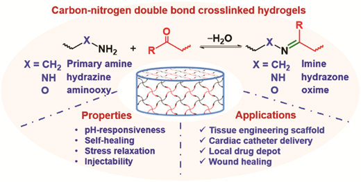 Hydrogels based on pH-responsive reversible carbon–nitrogen double-bond ...