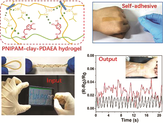 Bioinspired tough, conductive hydrogels with thermally reversible ...