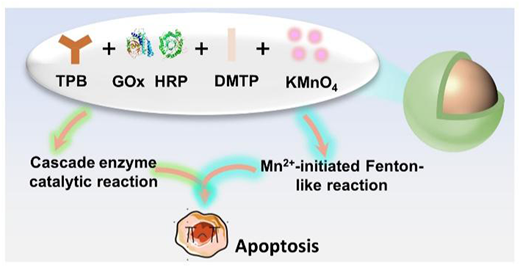 Engineering a versatile nanoscale COF-based multienzyme loading ...