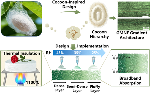 Cocoon-inspired gradient mullite nanofibrous aerogels for broadband ...