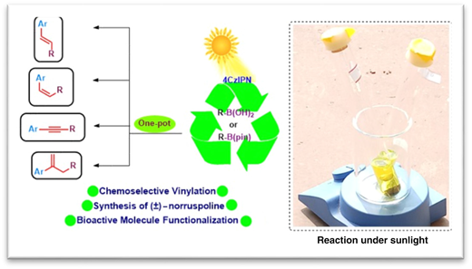 Photoredox Suzuki coupling using alkyl boronic acids and esters ...