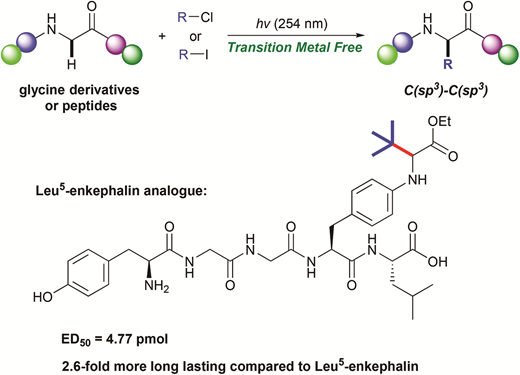 Photo-induced preparation of unnatural α-amino acids: synthesis and ...