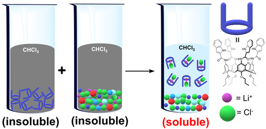 Tetraamidoindolyl calix[4]arene as a selective ion pair receptor for ...