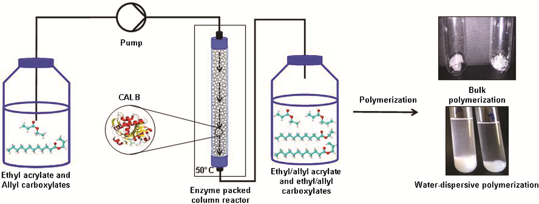 Synthesis of poly(ethyl acrylate-co-allyl acrylates) from acrylate ...