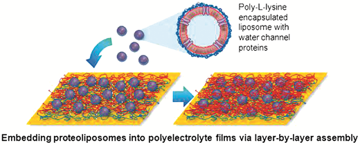 A layer-by-layer self-assembly approach to developing an aquaporin ...