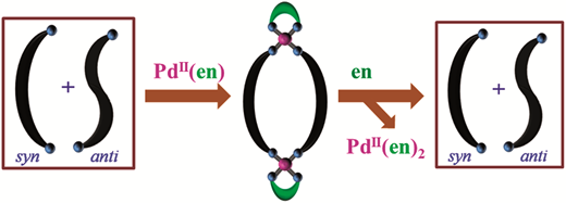 Palladium(ii) induced complete conformational enrichment of the syn ...