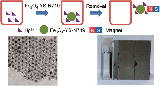 Chemodosimeter functionalized magnetic silica yolk–shell nanocomposite ...