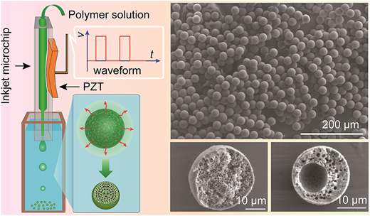 Generation of controlled monodisperse porous polymer particles by ...