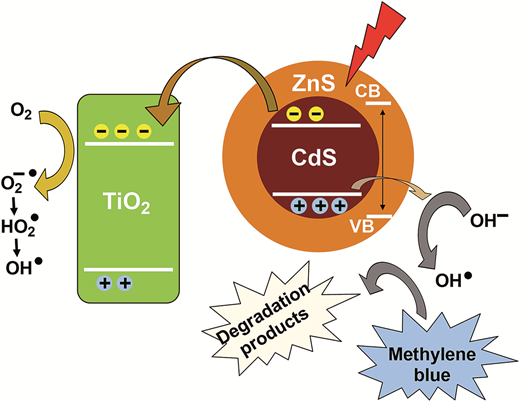 Supercritical CO2 synthesized TiO2 nanowires covalently linked with ...