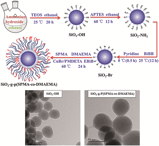 Fabrication of triple responsive polymer brushes and their catalytic ...
