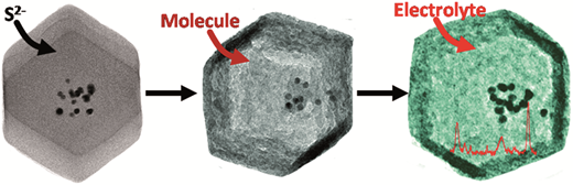 Engineering aggregation-induced SERS-active porous Au@ZnS multi-yolk ...
