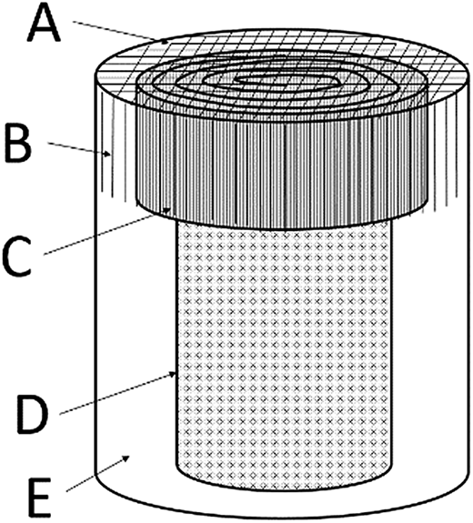 Osteochondral scaffold combined with aligned nanofibrous scaffolds for ...